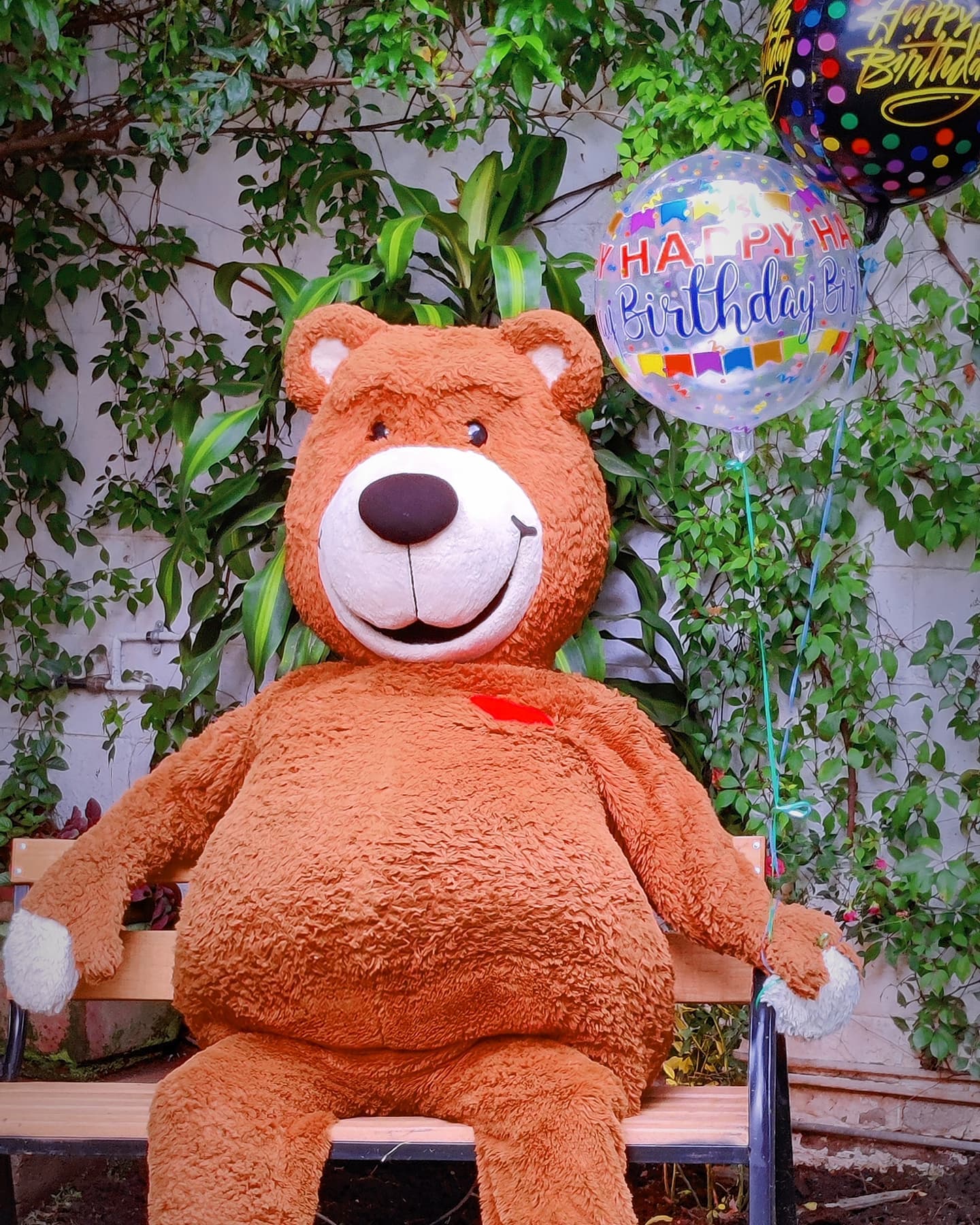 Entrega con Botarga de Oso "Teo" – Fábrica de Sueños